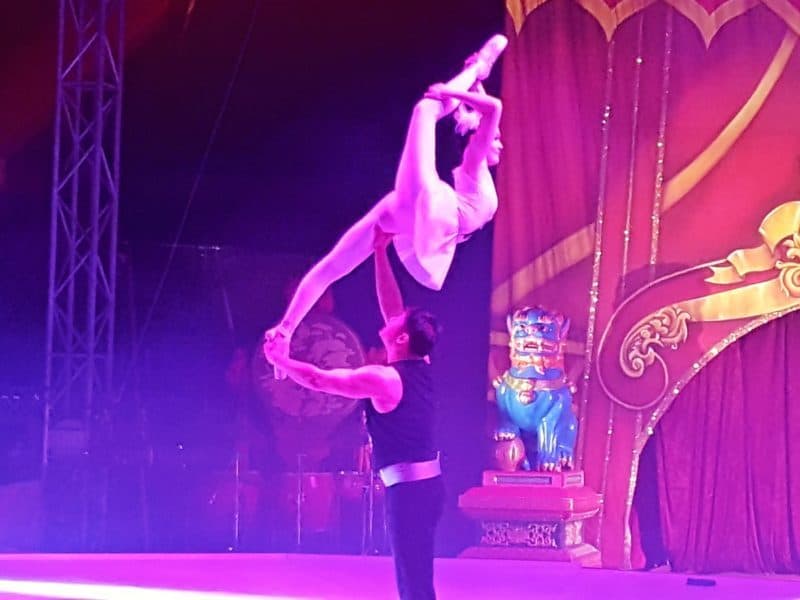 A breathtaking evening at the Chinese State Circus - Plutonium Sox