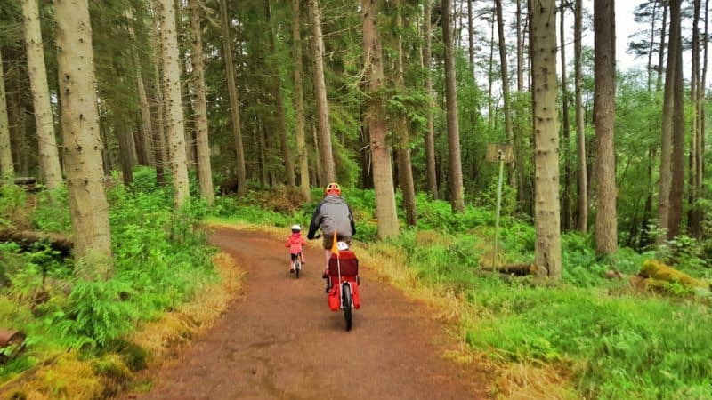 10 tips for visiting Kielder Forest in Northumberland - Plutonium Sox