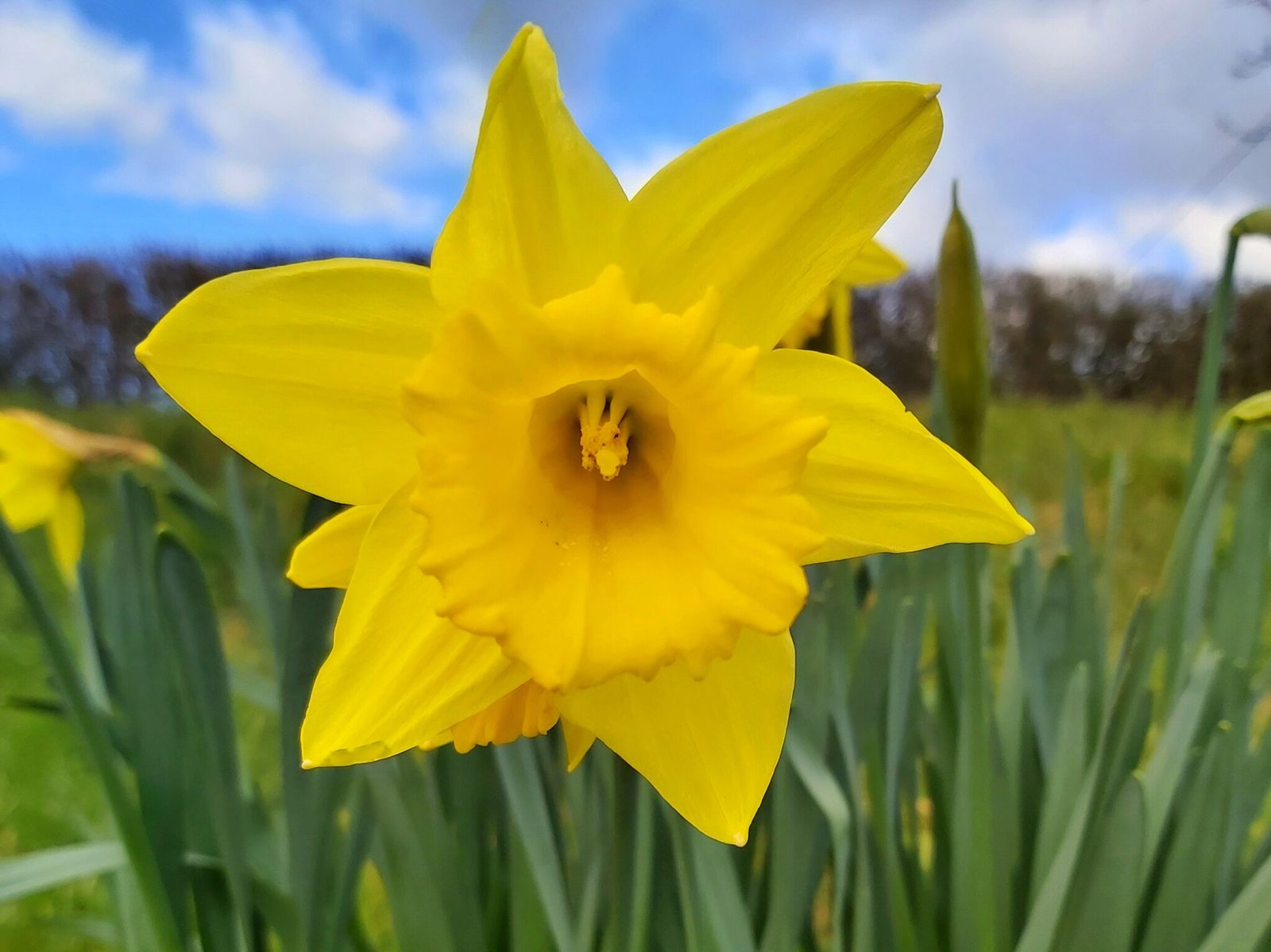 Things To Do West Midlands Easter Holidays 2024 Plutonium Sox things-to-do-west-midlands-easter-holidays-2024-plutonium-sox
